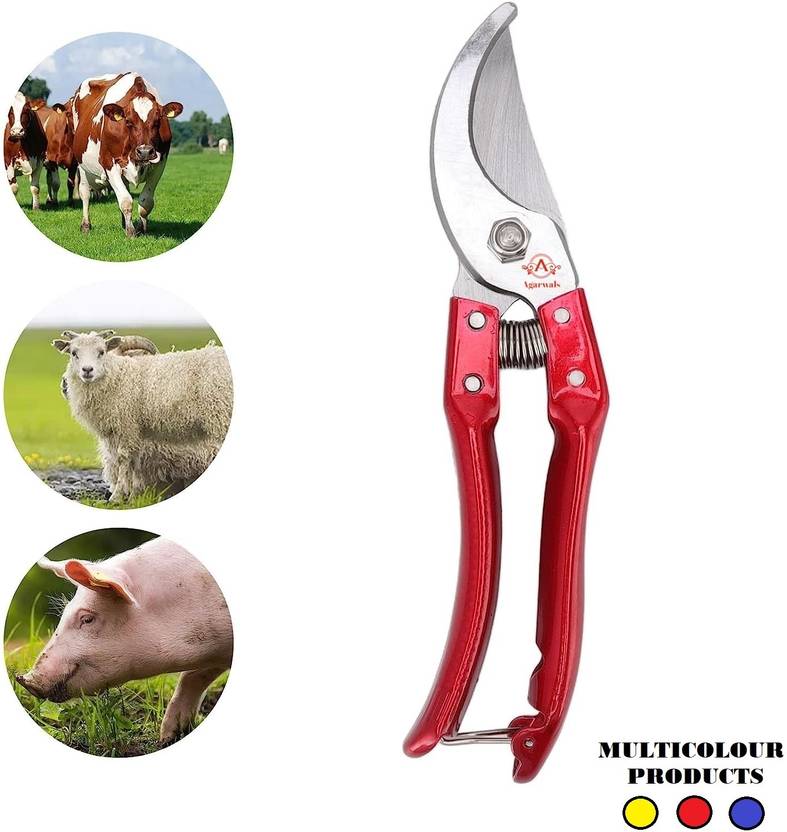 Agarwals Manual Hoof Cutting Tool For Goat And Sheep And Pig Horse Hoof ...
