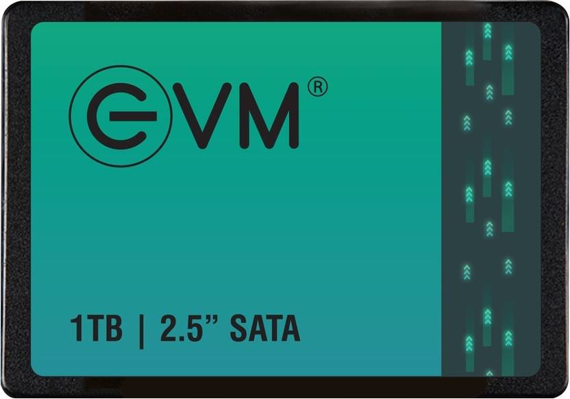 EVM SATA 1 TB All in One PC's, Laptop, Desktop BLACK-GREEN SATA Internal Solid State Drive (SSD ...