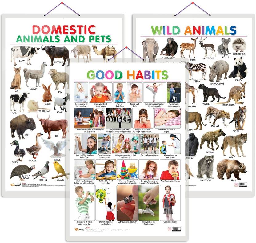 Set of 3 Domestic Animals and Pets, Wild Animals and Good Habits Early ...