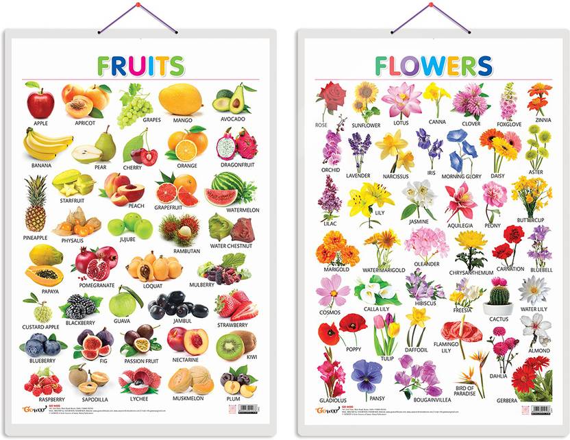 Set of 2 Fruits and Flowers Early Learning Educational Charts for Kids ...
