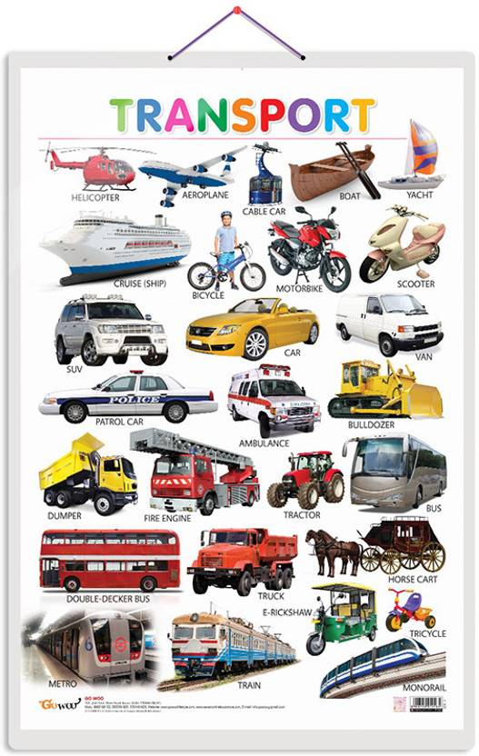 GO WOO Transport Educational chart with Big font and Dust resistant ...