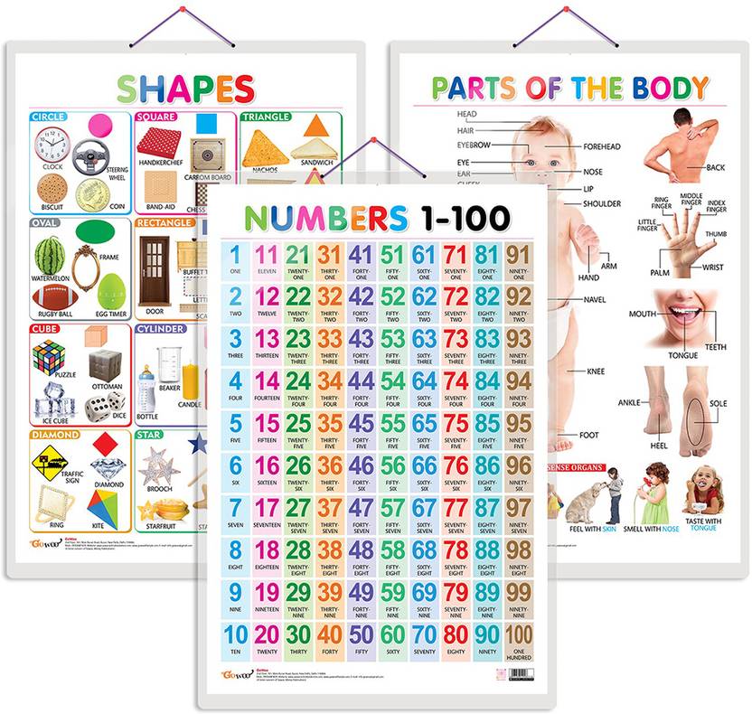 Set of 3 Shapes, Parts of the Body and Numbers 1-100 Chart for Kids ...