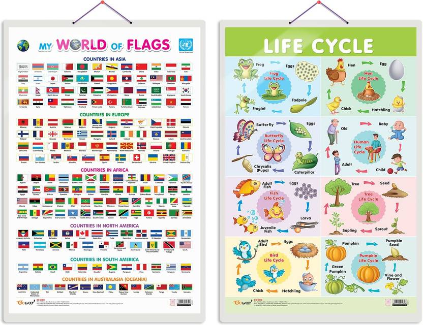 Set of 2 My World of Flags and Life Cycle Early Learning Educational ...