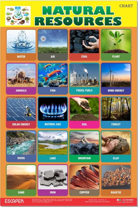 ESCAPER Natural Resources Chart for Kids, Chart for Kids Learning (11.5 ...