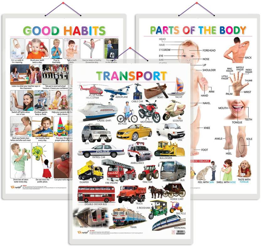 Set of 3 Parts of the Body, Good Habits and Transport Chart for Kids ...