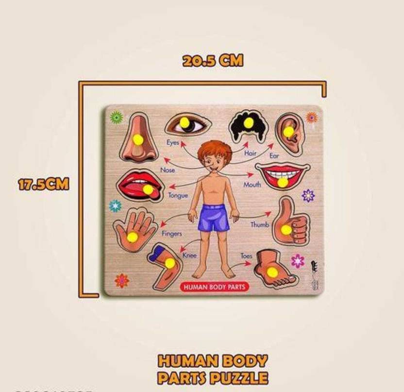 Tiny Kids wooden human body parts toys pack of 1 Price in India - Buy ...