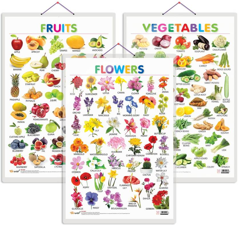 Set of 3 Fruits, Vegetables and Flowers Early Learning Educational ...