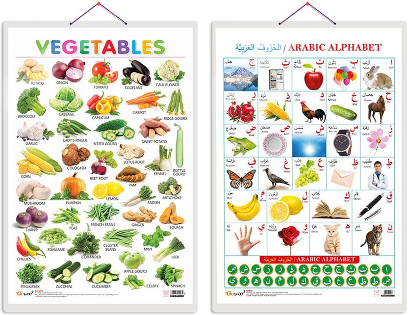 GO WOO Pack of 2 Vegetables and Arabic Alphabet (Arabic) Educational ...