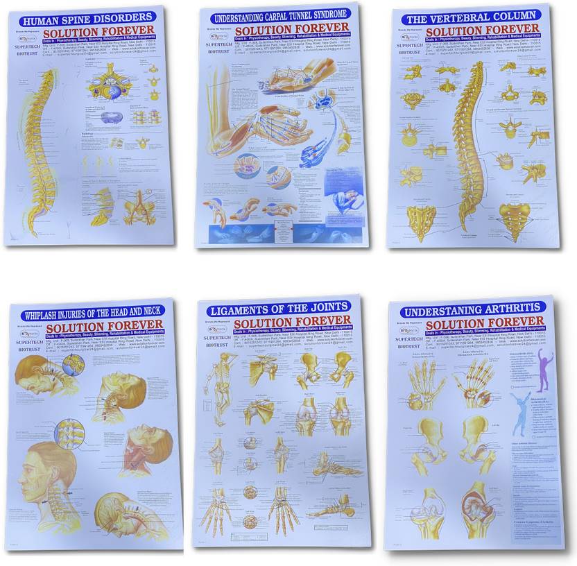 Meditronix Physiotherapy Clinic Chart Set Wall Pasted 6 Different Wall ...