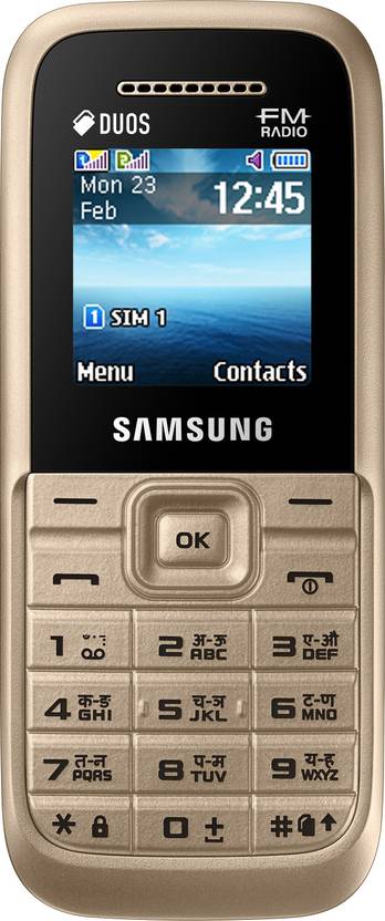 Samsung Guru FM Plus