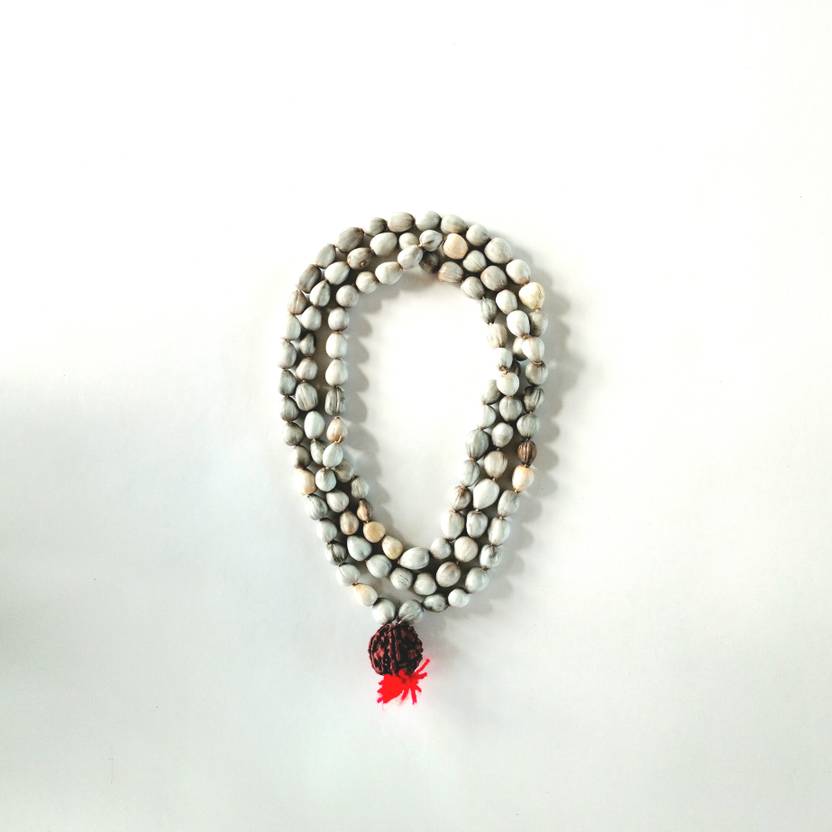 Aastik E Store Vijayanti Mala With Rudraksha Bead Wood Chain Price in ...