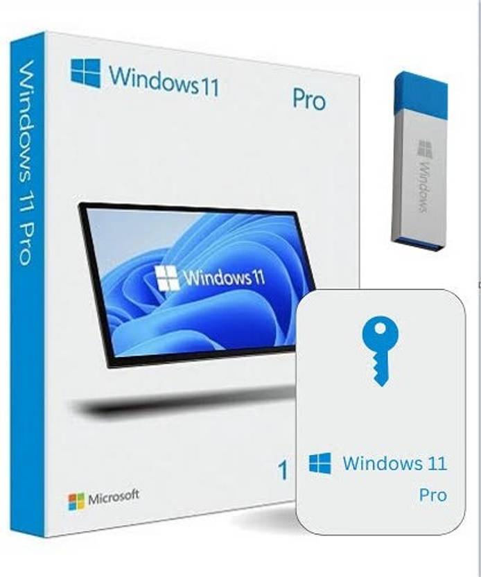 MICROSOFT Windows 11 Professional Box Retail Pack USB 3.0 - English ...