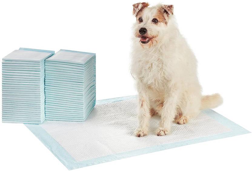 KUPPY Puppy Dog Training Potty Pee Piddle Pads Ultra-Absorbent ...
