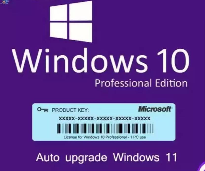 Windows 10 Licence Key (Win11 Auto Upgrade) (Windows 10) Price in India ...