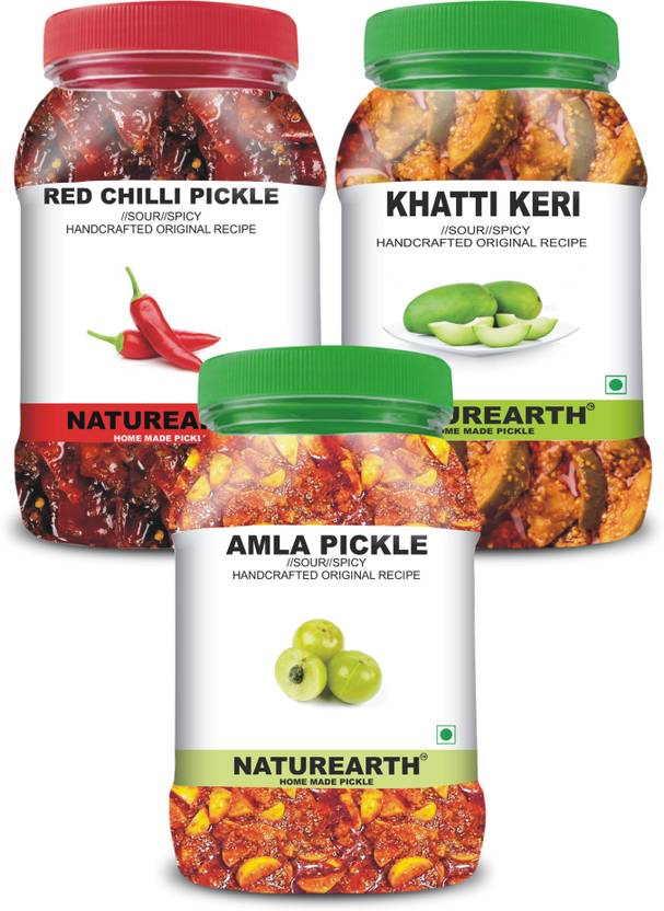 NaturEarth 100% Natural Amla,Red Chilli & Khatti keri Pickle(600g ...