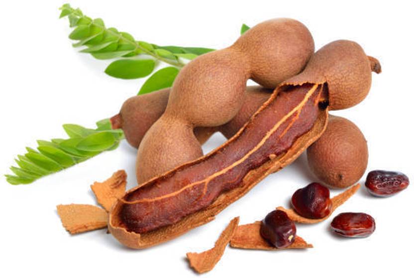 Cloud Farm Tamarind Plant Price in India - Buy Cloud Farm Tamarind ...