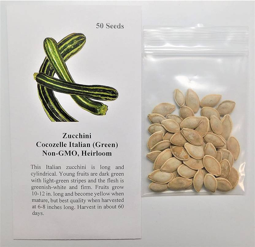 VibeX ® VMR-435 Zucchini Cocozelle Italian Seed Price in India - Buy ...