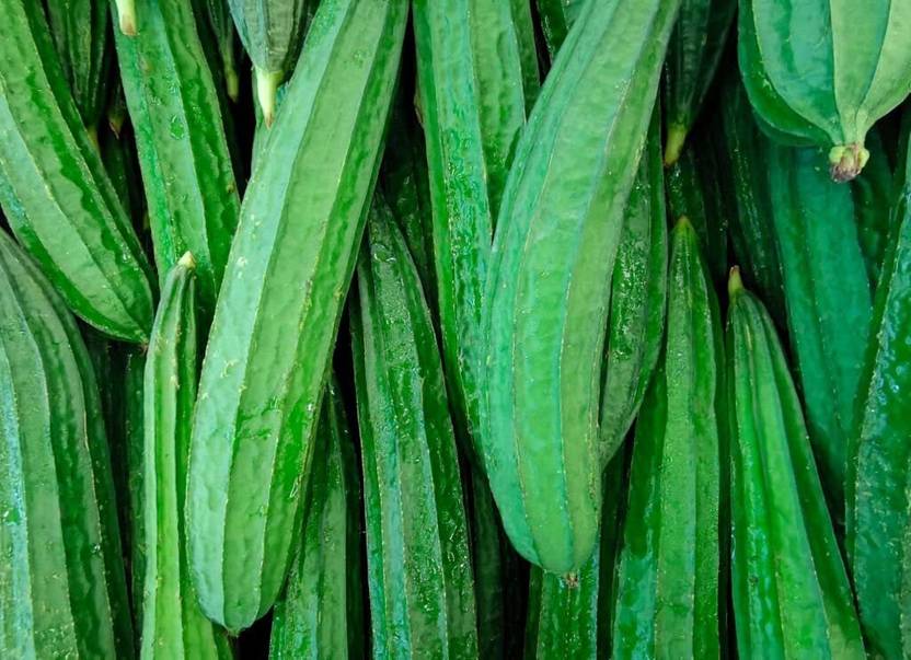 WILLVINE Ridge Gourd | Luffa | Turai | Peechinga | Peerkangai Tori[100 ...