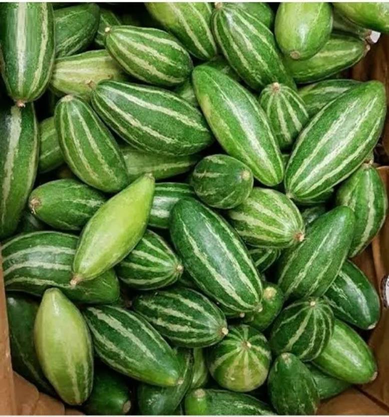 VibeX Desi Parwal (Pointed Gourd)[250 Gms, 1250 Seeds] Seed Price in ...
