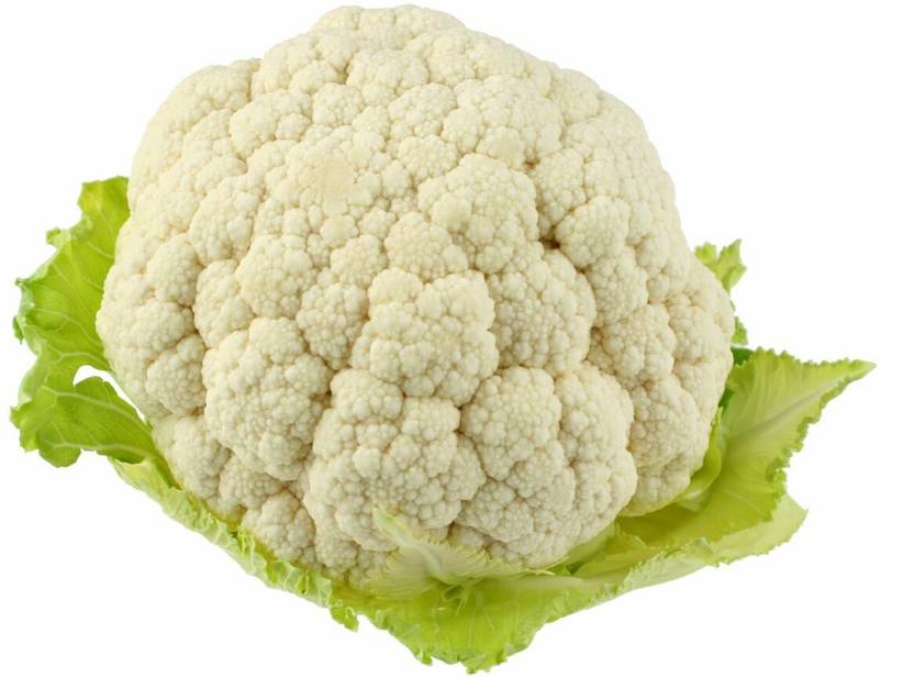 WILLVINE HAR -VI F1 Hybrid Candid charm Cauliflower [100g, 30000 Seeds ...