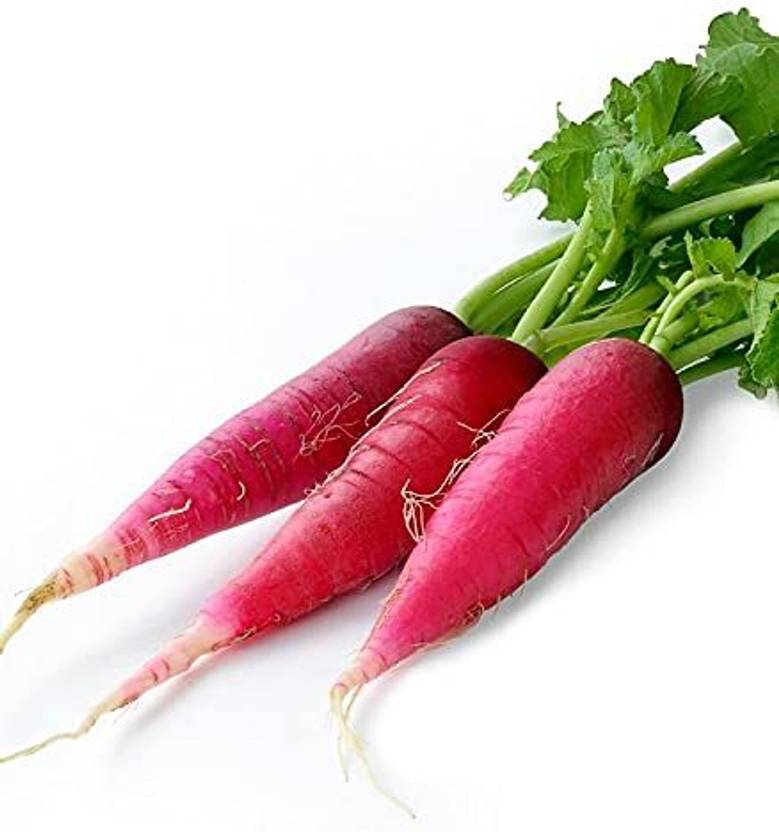 Aywal Red Radish Hybrid Vegetable Sowing Seed Price in India - Buy ...