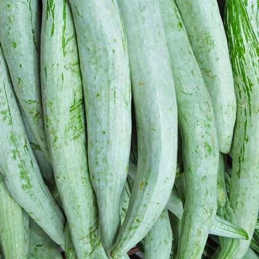 TRICONE High Yield Hybrid Rare Long chichinda Snake Gourd Vegetable 170 ...