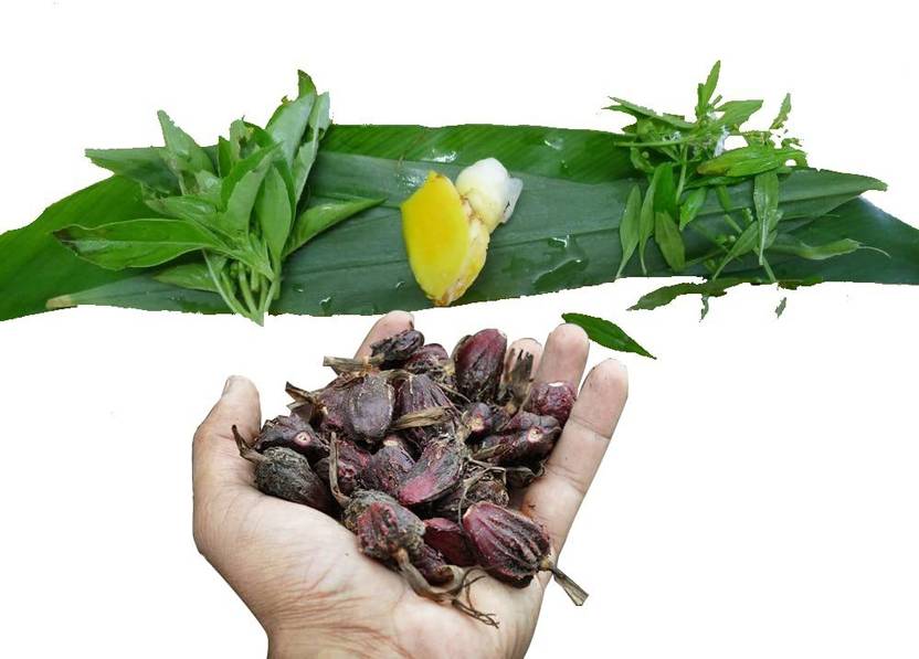 VibeX ® VMR-52 Badi Elaichi Black Cardamom Plant Seeds Seed Price in ...