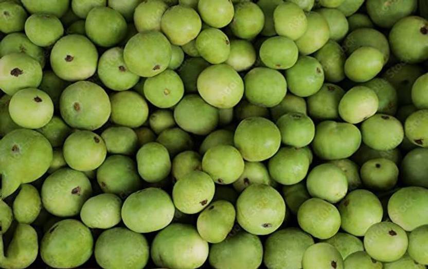 JRYU Tinda Vegetable F1 Hybrid Seeds for Home Gardening Seed Price in ...