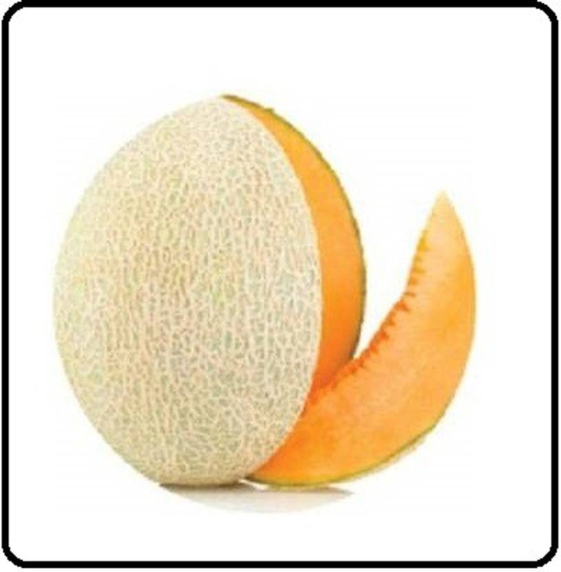 VibeX GBPUT-44 - Muskmelon Kharbuja for Planting - (450 Seeds) Seed ...