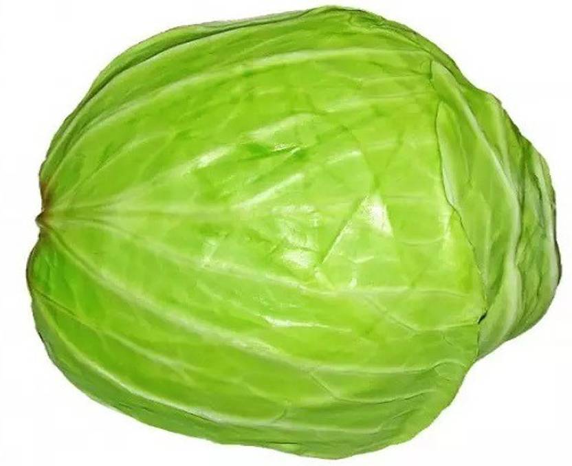 MYLAWN Round Shape Green Ball Style Cabbage Seed Price in India - Buy ...