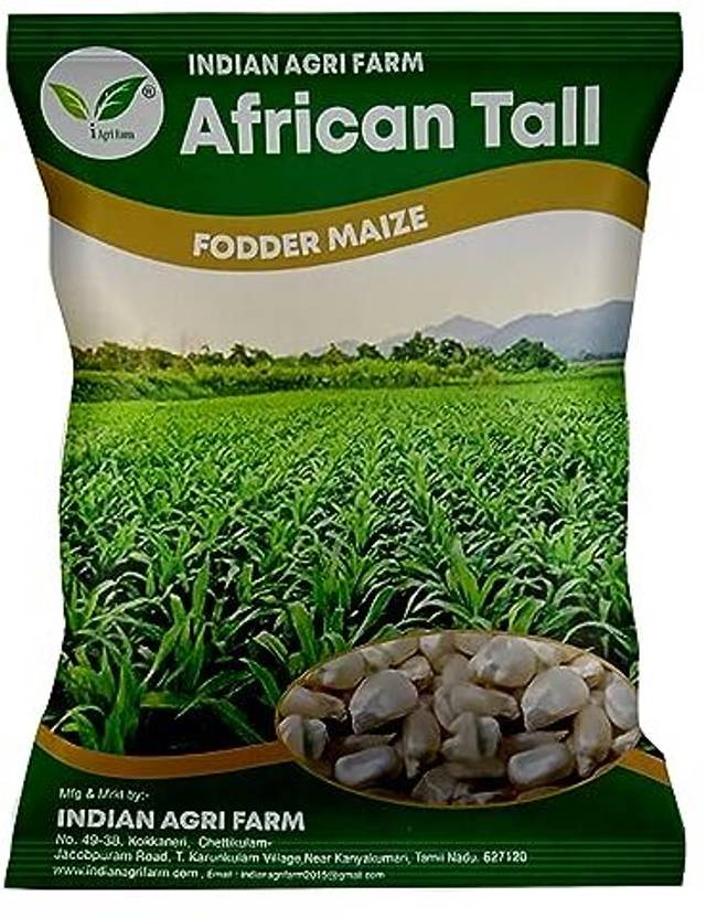 IAgriFarm African Tall Fodder Maize / Makka (Zea Mays) - 1 Kg for ...
