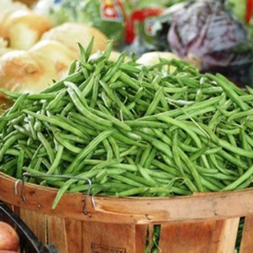 SeeGreen farm Long Beans Phali Seed For Home Planting & Research - 10 ...