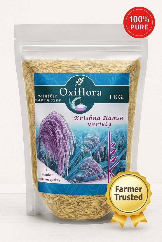 Oxiflora Krishna Hamsa Variety Dhan, Rice & Paddy for Pure Miniket Rice ...