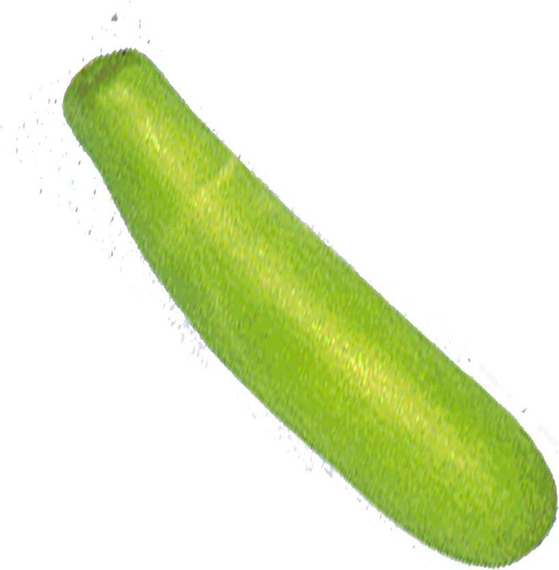 VibeX ® RXI-100 Bottle Gourd Dudhi Sorakaya Lauki Seeds Calabash Seed ...