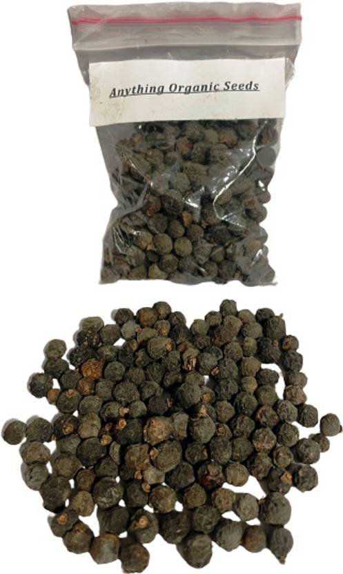 ANYTHING CREATORS Desi and Hybrid Seed Mix of Spiny Gourd, Kankoda ...