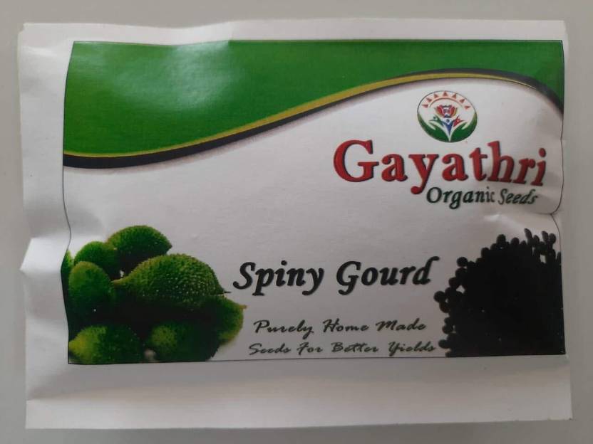 VibeX Spine Gourd, Kankoda Boda kakara Seeds[100 Gms, 500 Seeds] Seed ...