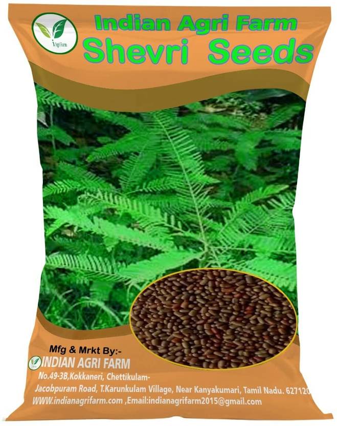 IAgriFarm Shevri Seed - 500 Gram/Sesbania Sesban Fodder Seed for ...