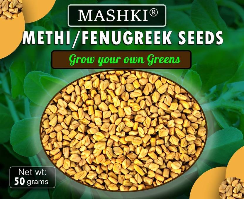MASHKI Methi Dana / Fenugreek Seeds / Vendhayam Seeds For Planting ...