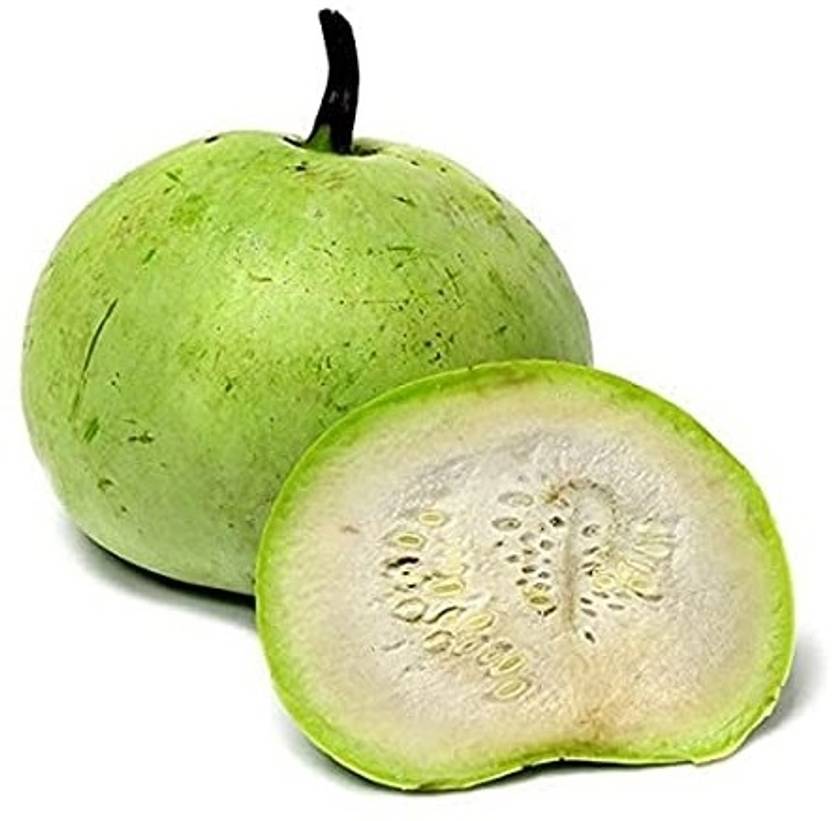 WILLVINE Pusa Summer Prolific Round Bottle Gourd-(100 Gms, 500 Seeds ...
