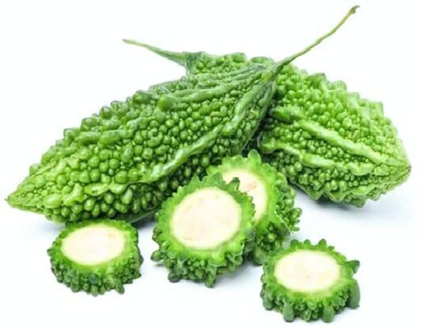 Aywal Vegetable seed -Bitter Gourd - Karela Seeds F1 Hybrid Seed Price ...