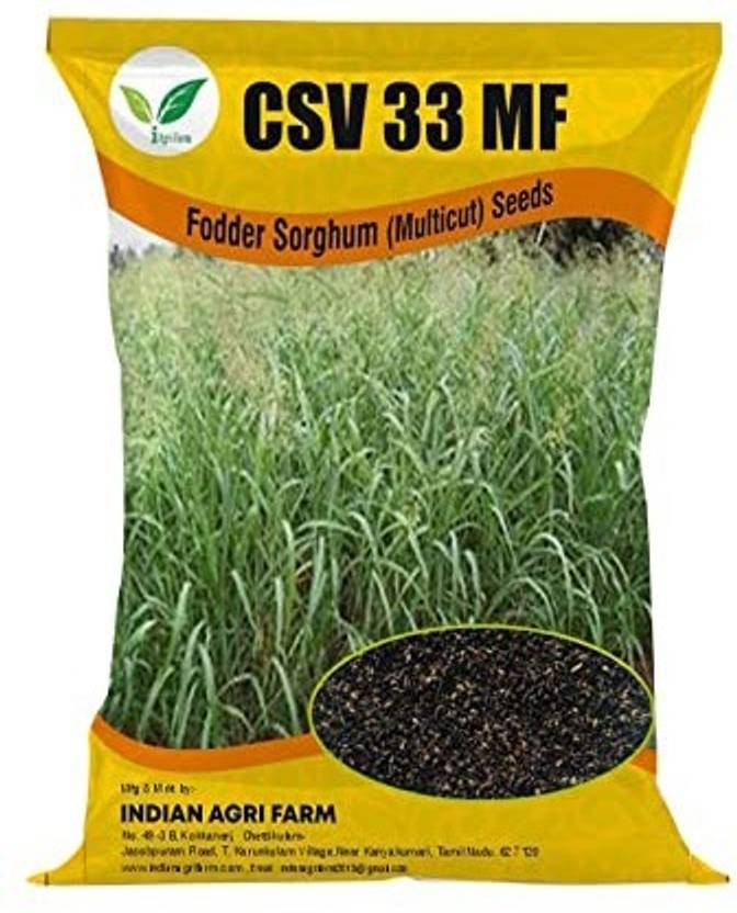 IAgriFarm CSV 33 MF Fodder Sorghum Seed - 2 Kg - MultiCut For Fodder Cultivatoin Seed Price in ...