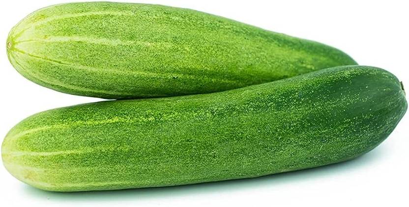 BDSresolve organic Cucumber Seeds/ Cucumber seeds 19 Seed Price in ...