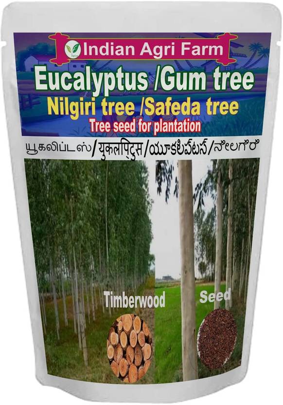 IAgriFarm Eucalyptus tree /Gum /Nilgiri/Safeda tree seeds for ...