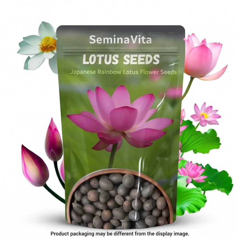 seedkart royal lotus flower seed plant Seed Price in India - Buy ...