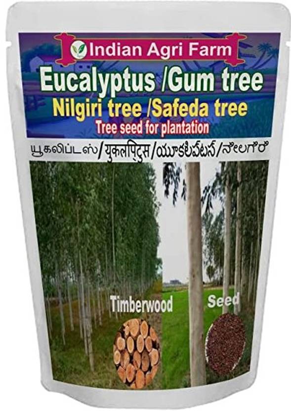 IAgriFarm Eucalyptus tree /Gum /Nilgiri/Safeda tree seeds for ...