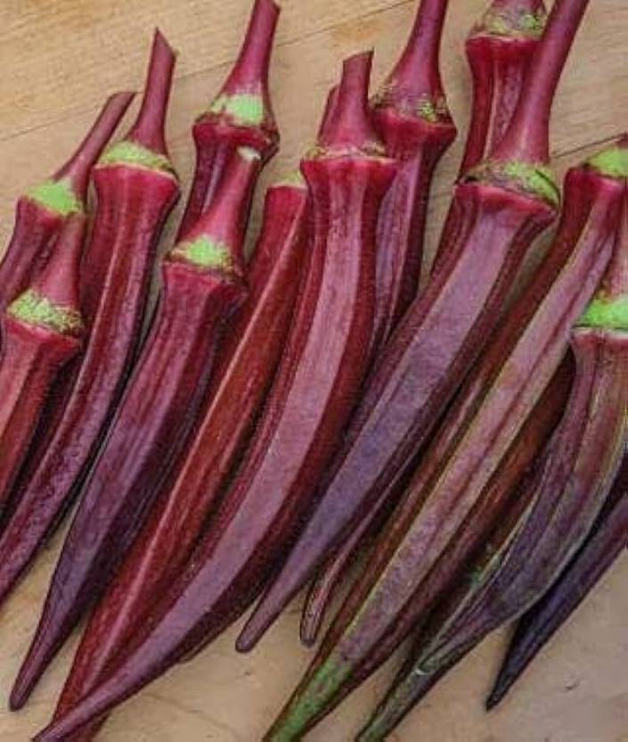 wequality Red bhindi seeds hybrid/ladies finger seeds 57 Seed Price in ...