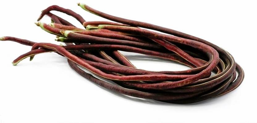 ASHOKE Seeds Red Barbati Seeds Lal Barbati Seeds Red Lafa Seeds Red ...