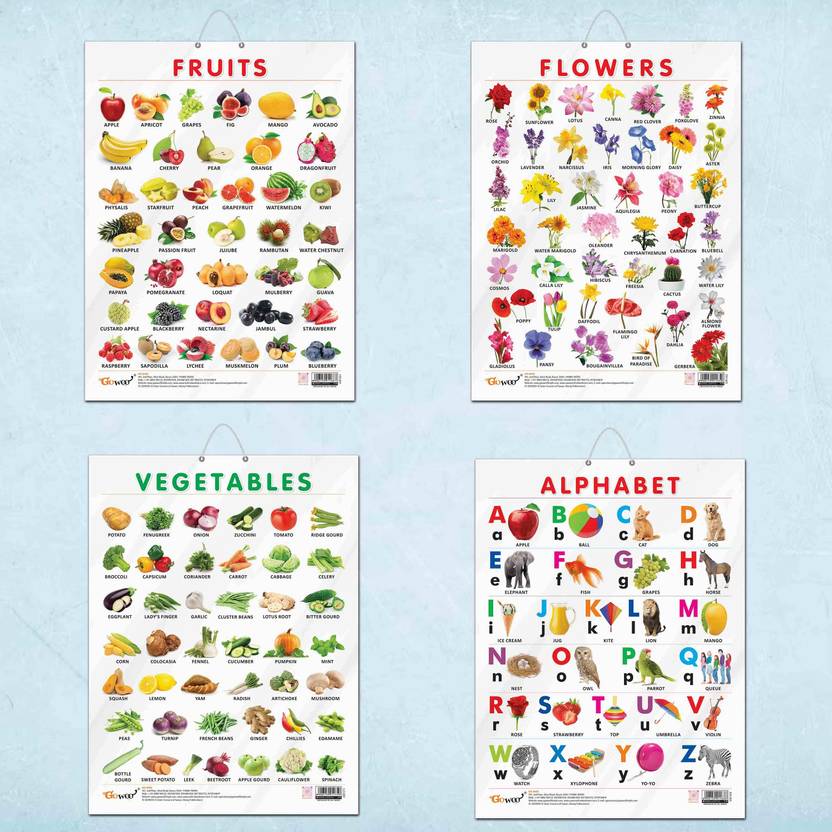 ALPHABET CHART GLOSS LAMINATED, FRUITS CHART GLOSS LAMINATED, FLOWERS ...