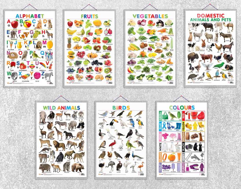 Alphabet, Fruits, Vegetables, Domestic Animals and Pets, Wild Animals ...