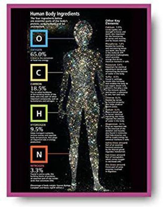 Human Body Ingredients Poster - Kids learning Charts / Posters for Kids ...